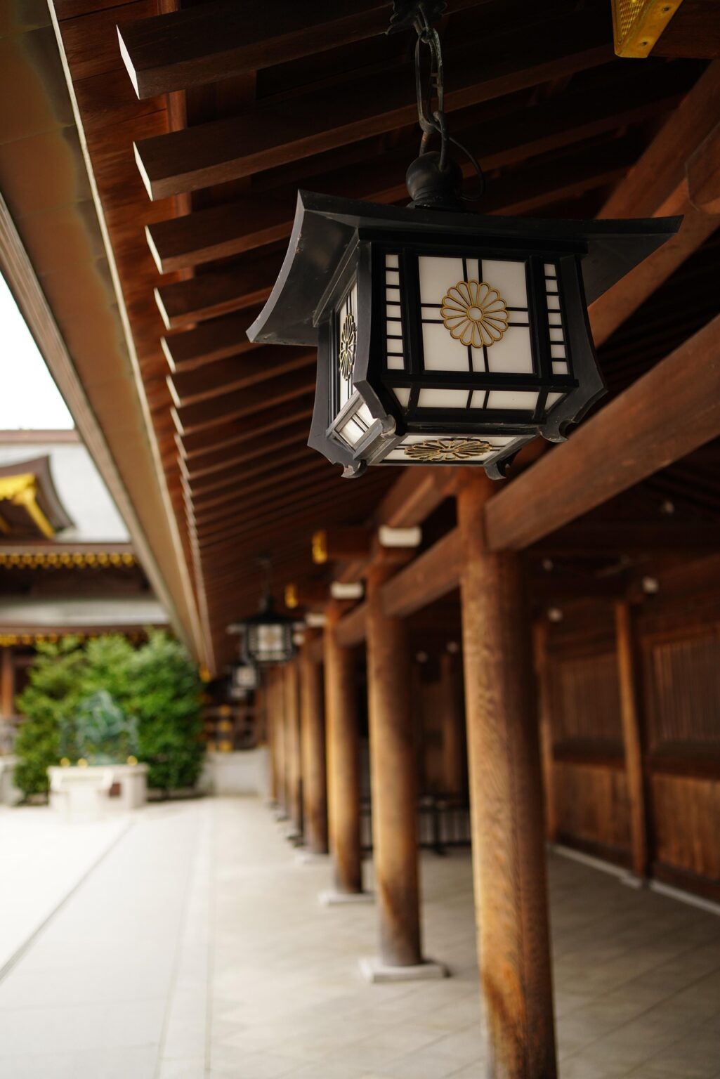 目的 | Champion Project JAPAN